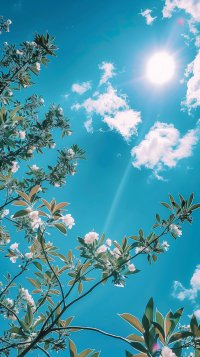 Blue Phone Wallpapers