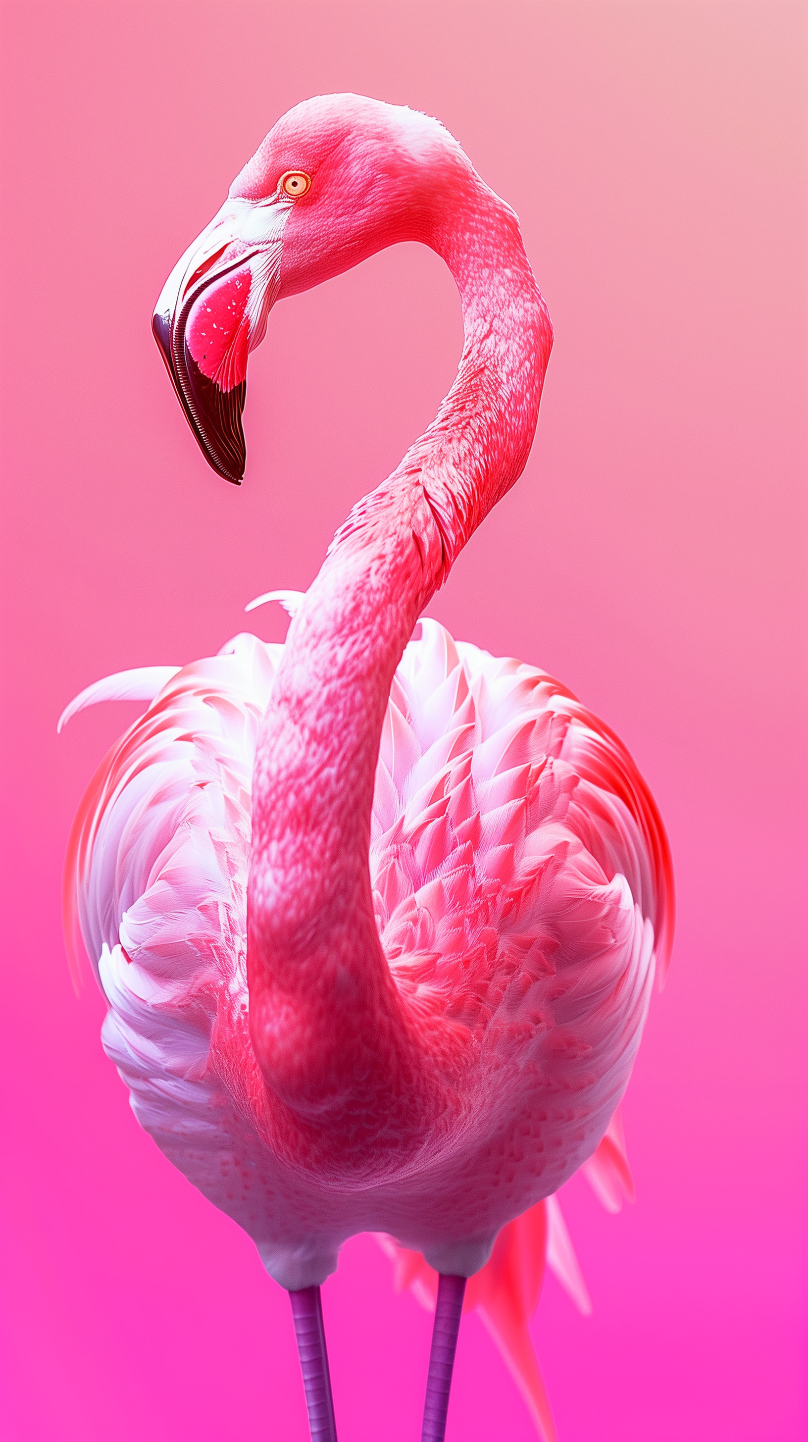 Flamingo - Desktop Wallpapers, Phone Wallpaper, PFP, Gifs, and More!