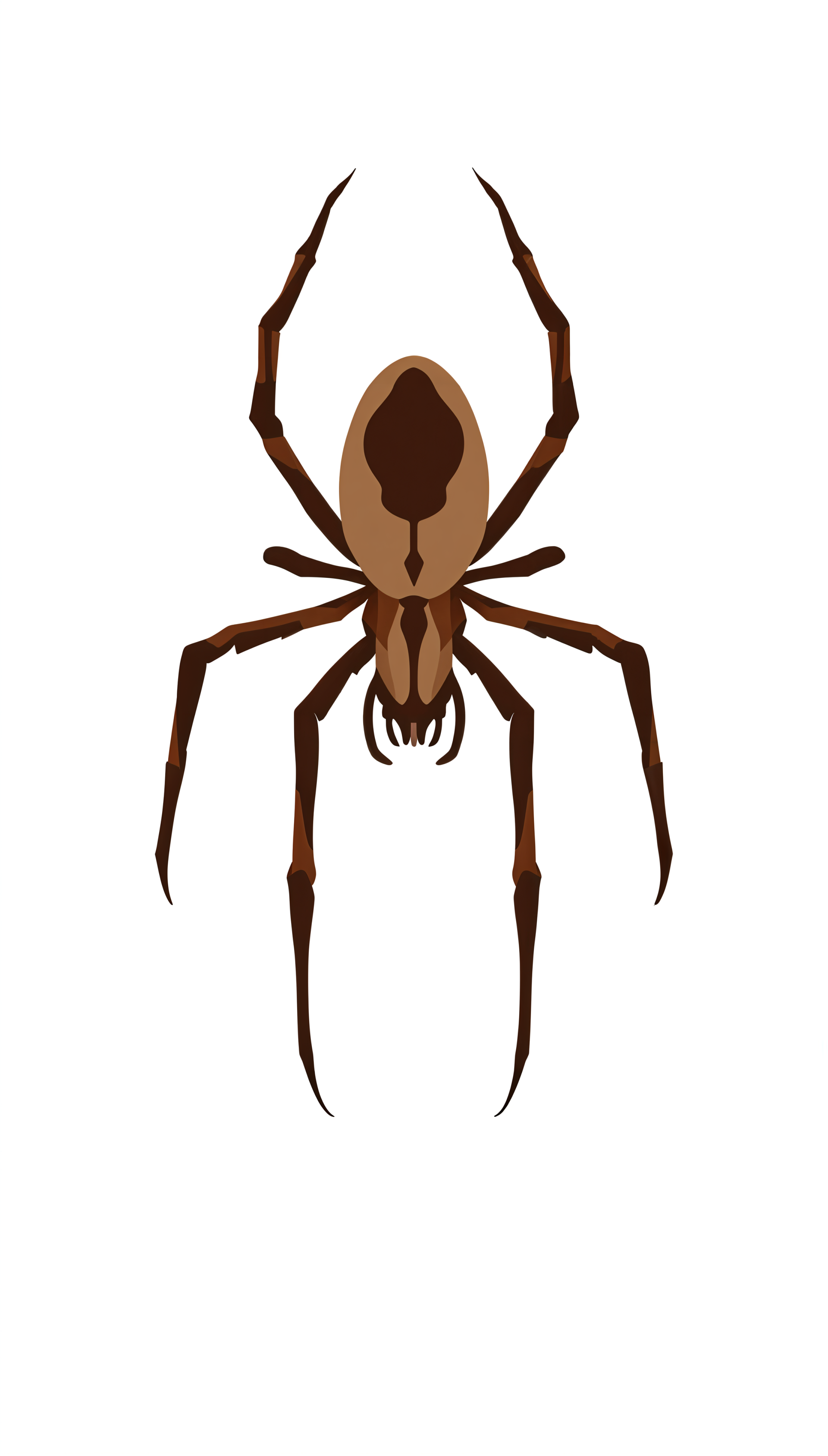 Brown Recluse Phone Wallpapers