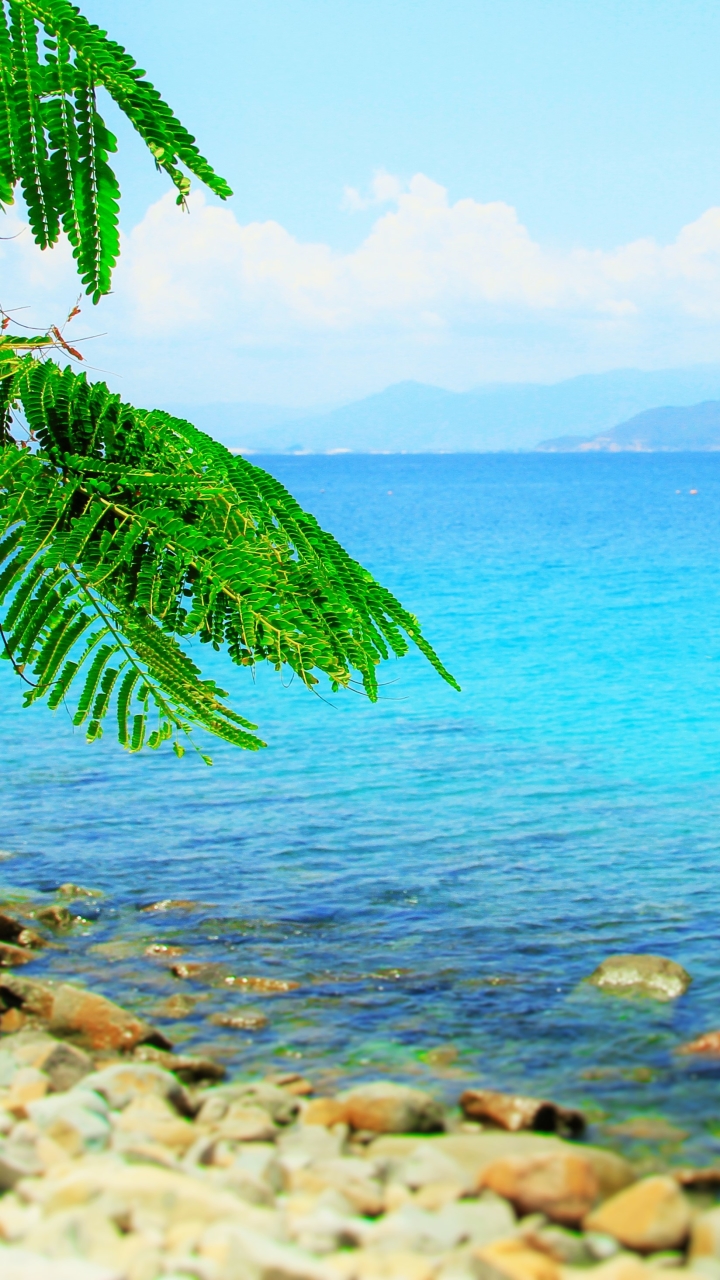 Download Blue Nature Ocean Phone Wallpaper