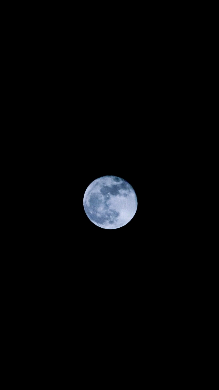 Download Nature Moon Phone Wallpaper