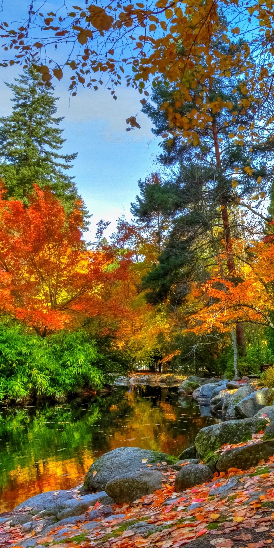 Download Pond Path Fall Photography Park Phone Wallpaper