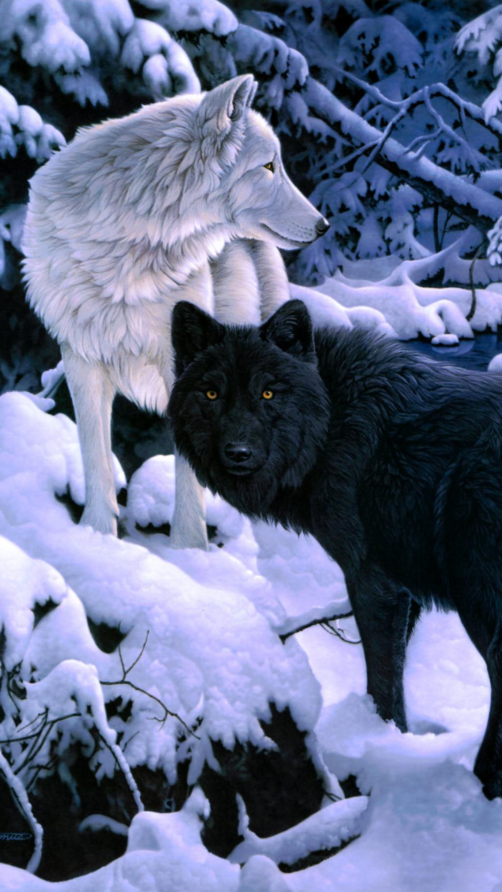 Download Winter Snow Animal Wolf Phone Wallpaper