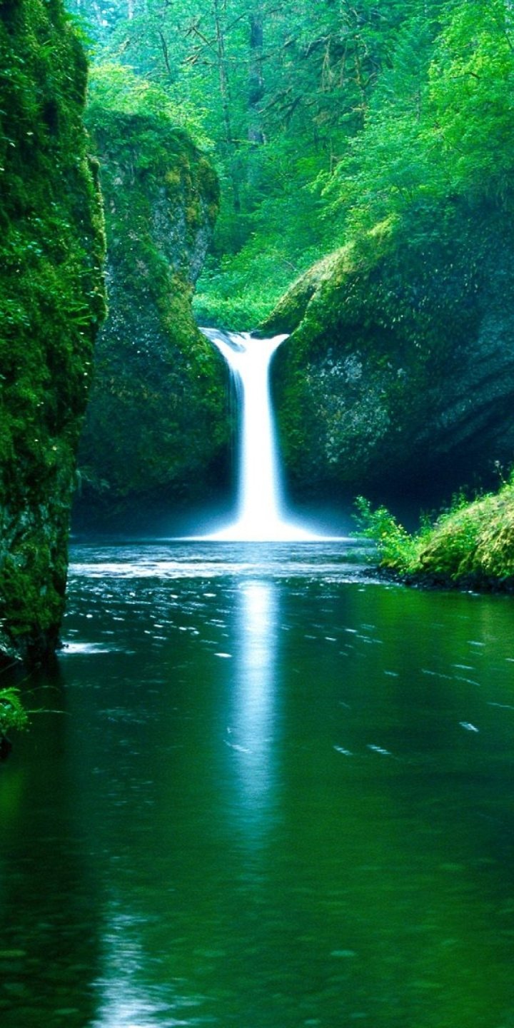 Download Nature Greenery Water Waterfall Phone Wallpaper
