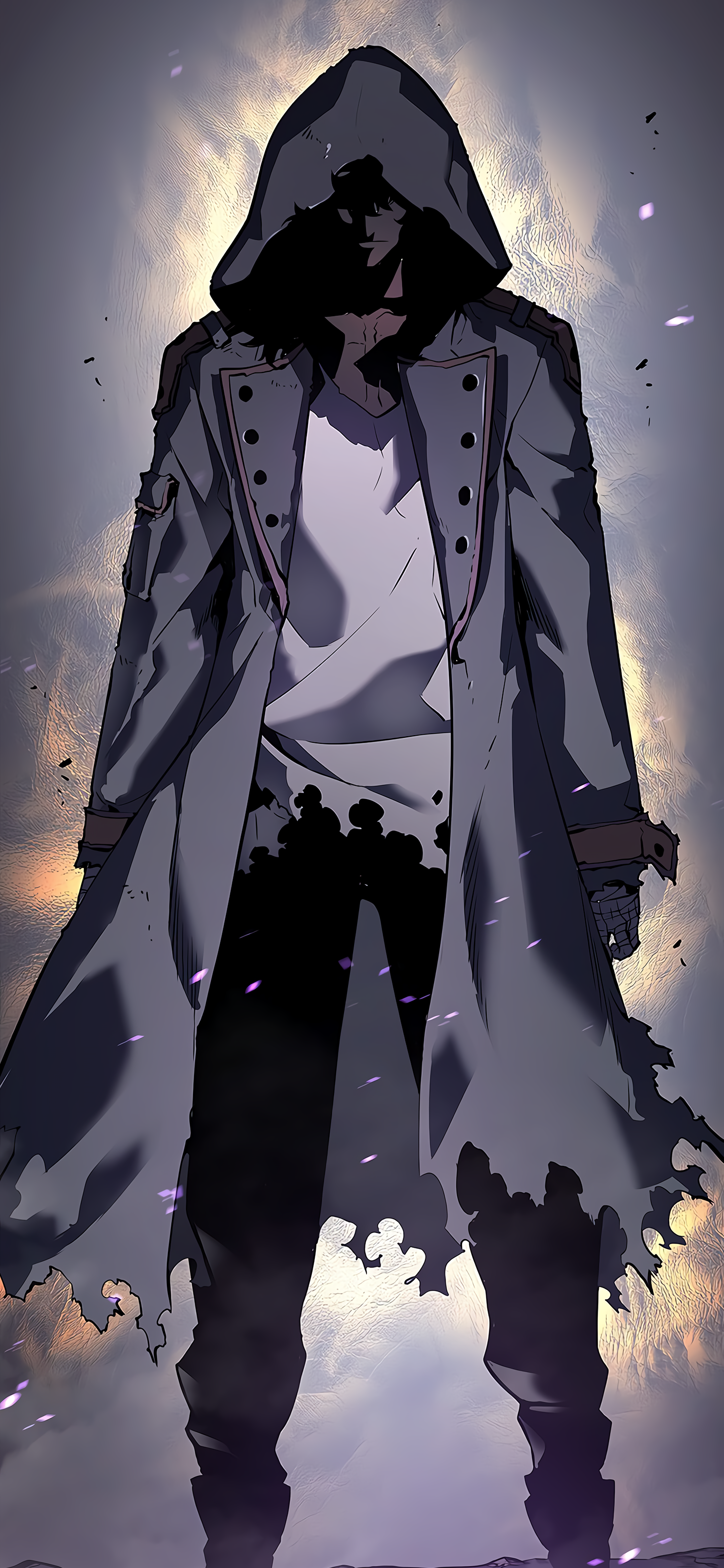 Download Sung Il-Hwan Anime Solo Leveling Phone Wallpaper