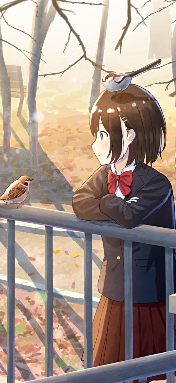 Anime Bird - Desktop Wallpapers, Phone Wallpaper, PFP, Gifs, and More!