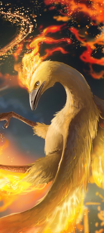 Moltres (Pokémon) - Desktop Wallpapers, Phone Wallpaper, PFP, Gifs, and ...