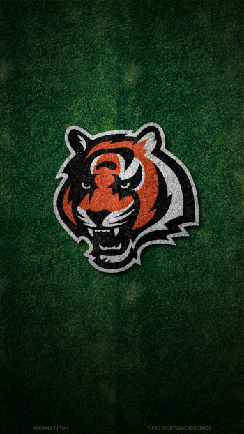 Cincinnati Bengals - Desktop Wallpapers, Phone Wallpaper, PFP, Gifs ...