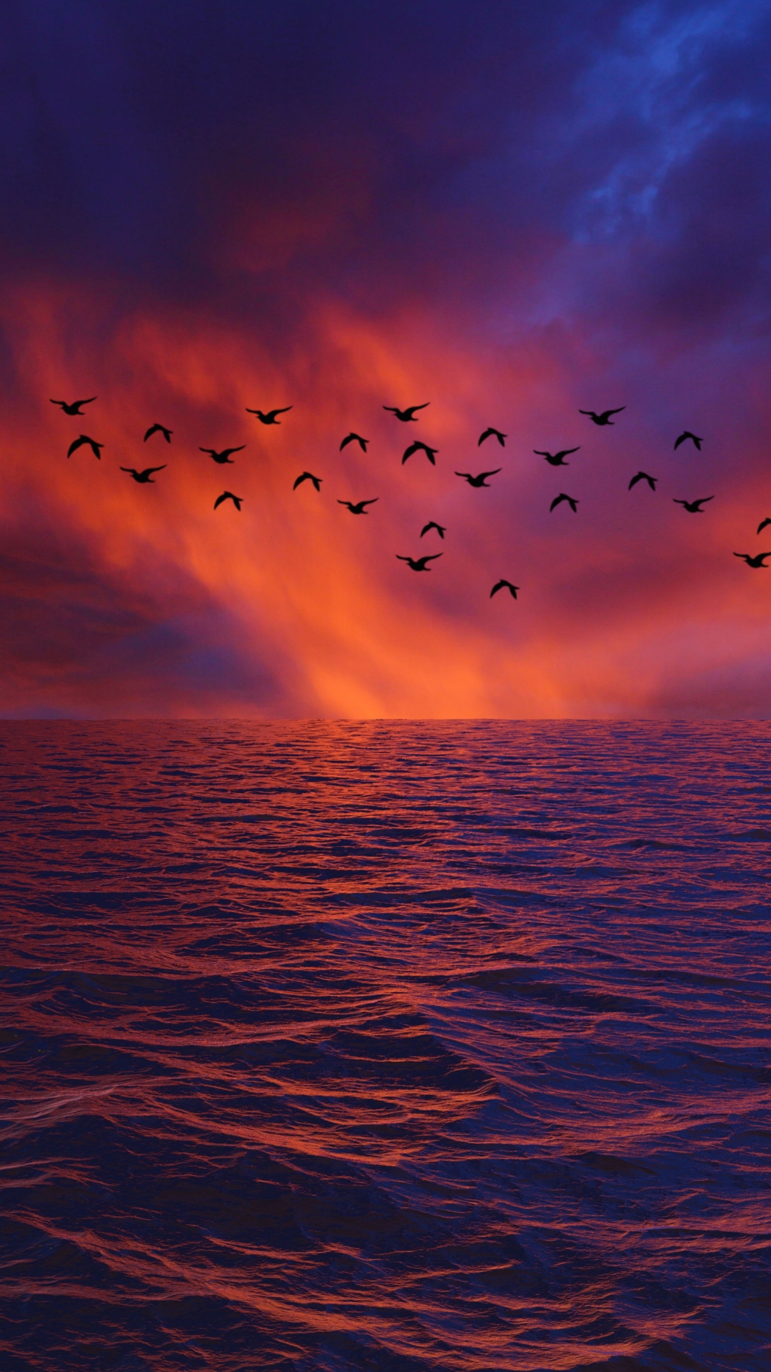 Download Nature Sunset Phone Wallpaper - Mobile Abyss