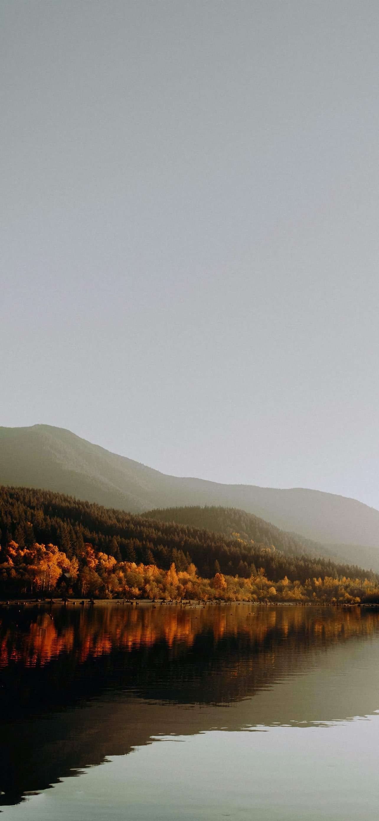 Download Fall Nature River Phone Wallpaper